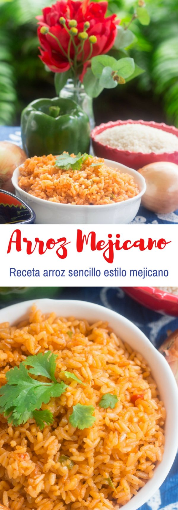 Receta de Arroz Mexicano Sencillo – ENSALPICADAS